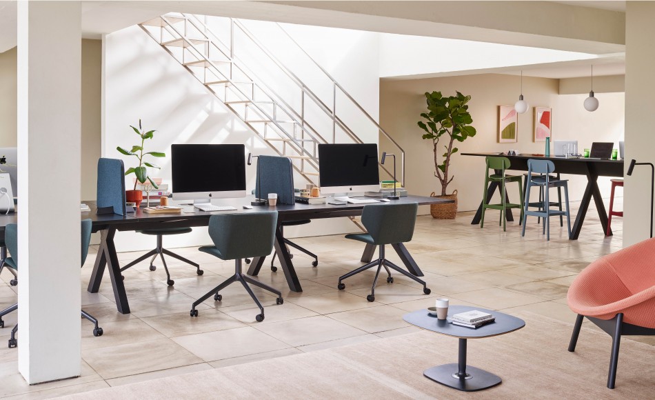 Modus Furniture Online